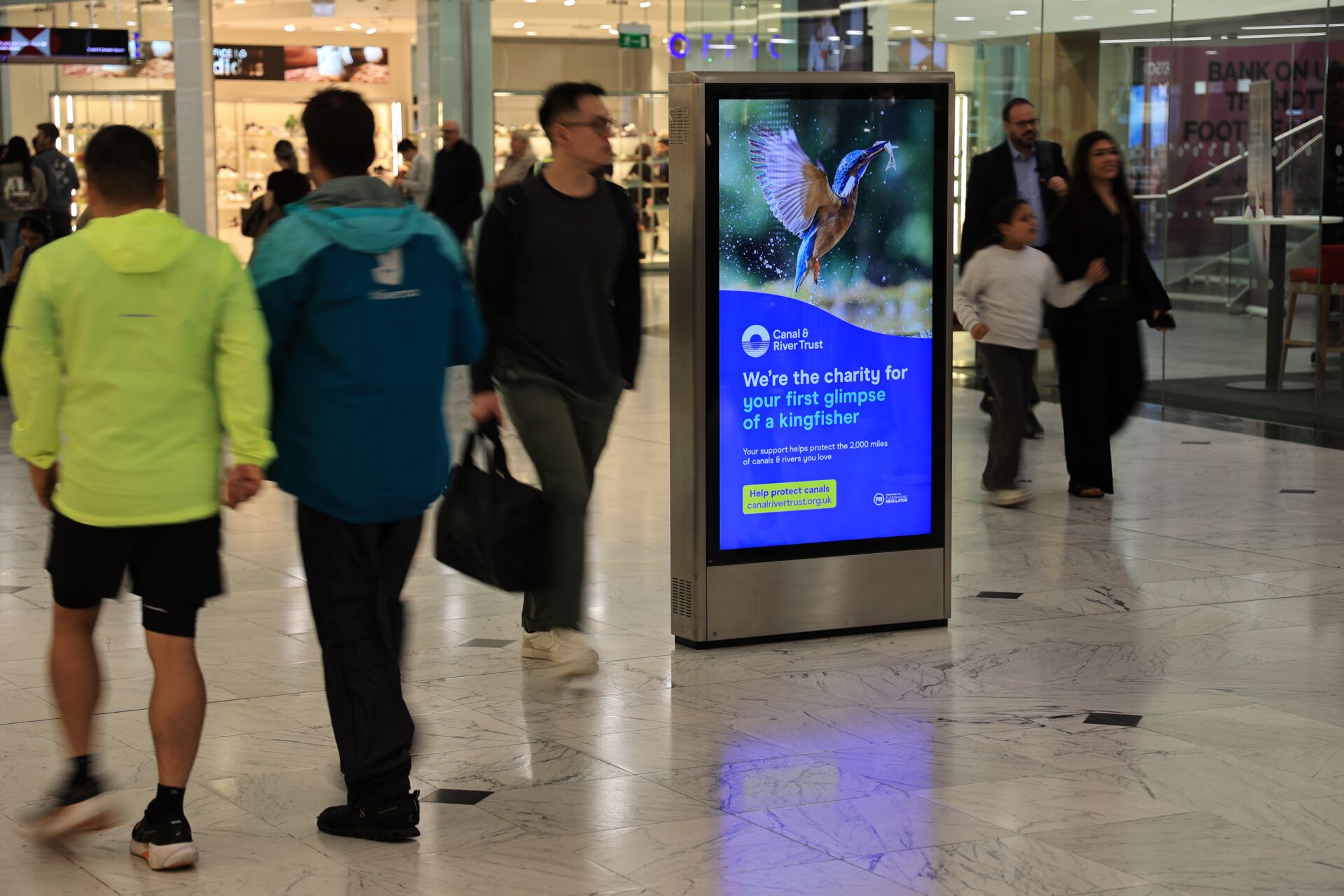 Drops in the Ocean: A Charity Campaign Success