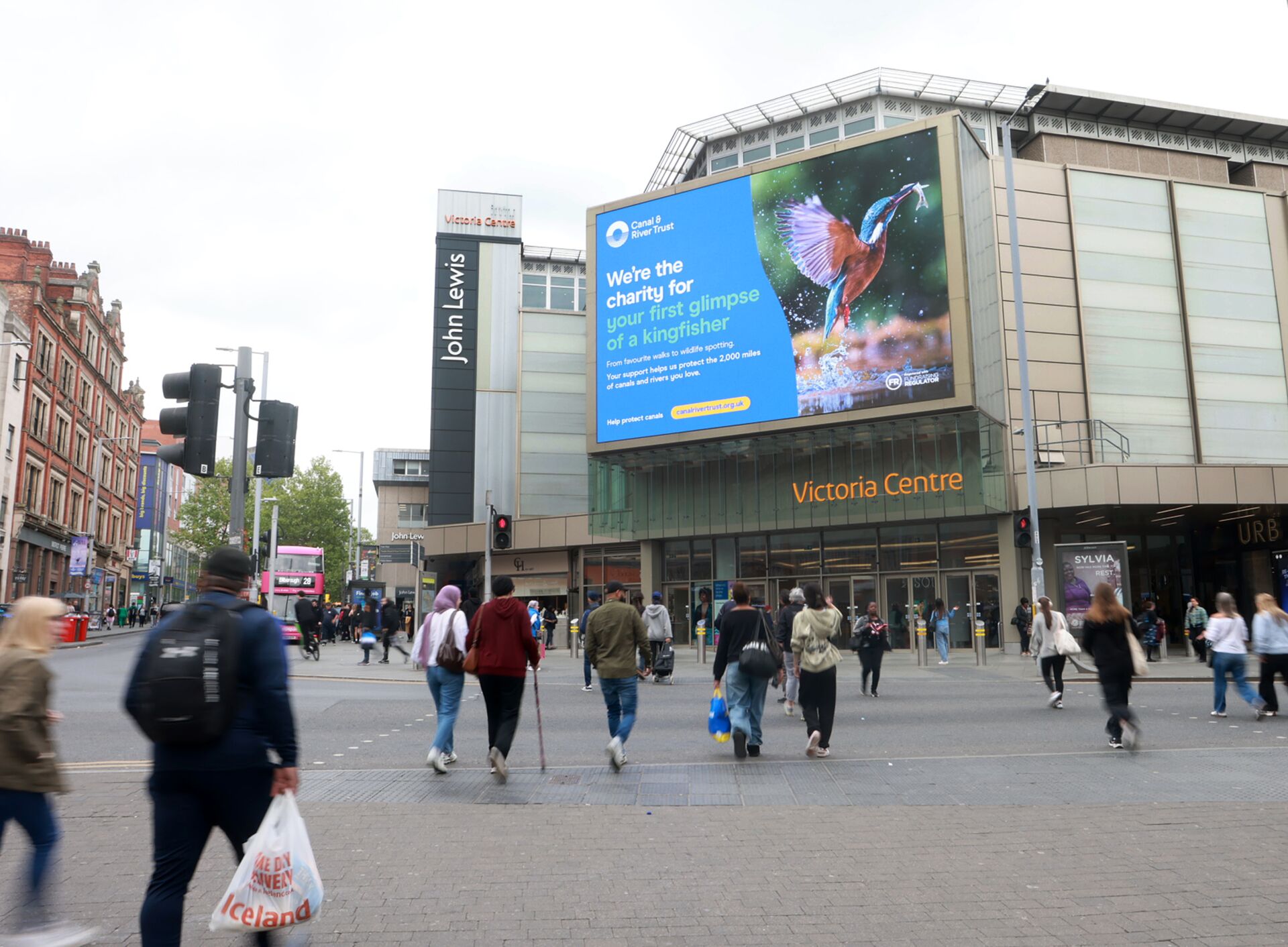 Drops in the Ocean: A Charity Campaign Success